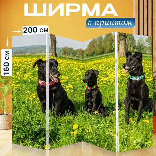 Ширма перегородка с принтом "Собака, чернить, домашнее животное" на холсте - 200x160 см. для зонирования, раскладная