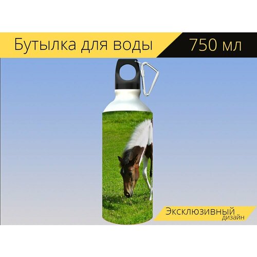 Бутылка фляга для воды "Лошадь, конный спорт, пони" 750 мл. с карабином и принтом