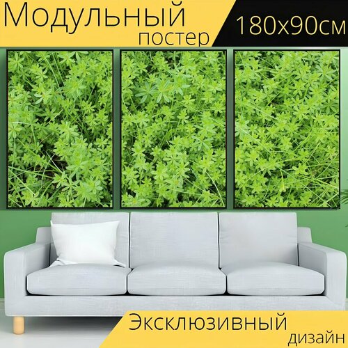Модульный постер "Зеленый, растения, мох" 180 x 90 см. для интерьера