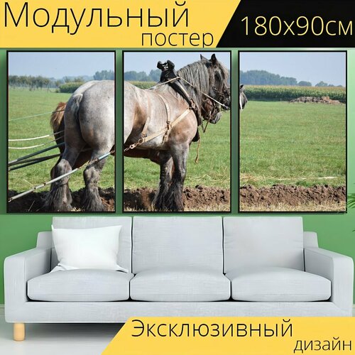 Модульный постер "Лошадь, пахать, фермер" 180 x 90 см. для интерьера