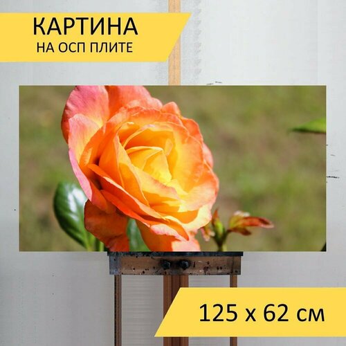 Картина на ОСП 125х62 см. "Цветок, роза, янтарная королева" горизонтальная, для интерьера, с креплениями
