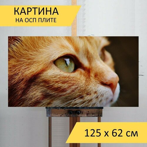Картина на ОСП 125х62 см. "Кошка, лицо, глаза" горизонтальная, для интерьера, с креплениями