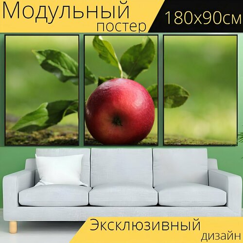 Модульный постер "Яблоко, красный, красное яблоко" 180 x 90 см. для интерьера