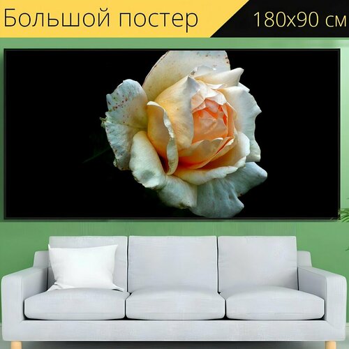 Большой постер "Роуз, цветок, салон красоты" 180 x 90 см. для интерьера
