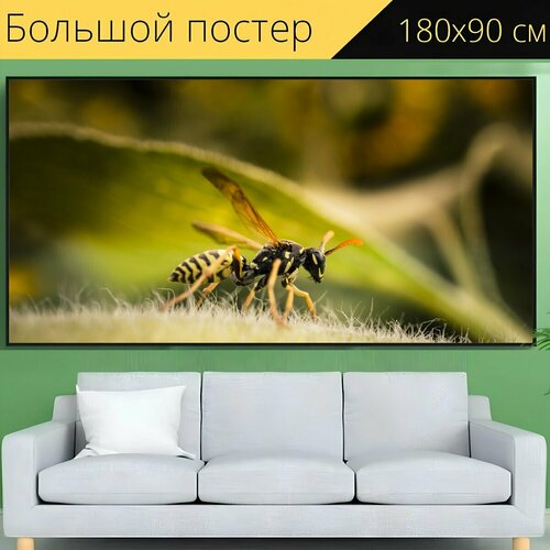 Большой постер "Оса, насекомое, макрос" 180 x 90 см. для интерьера