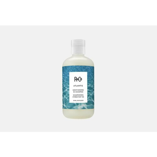 Шампунь для увлажнения с витамином В5 R+CO Atlantis Moisturizing B5 Shampoo 241 мл