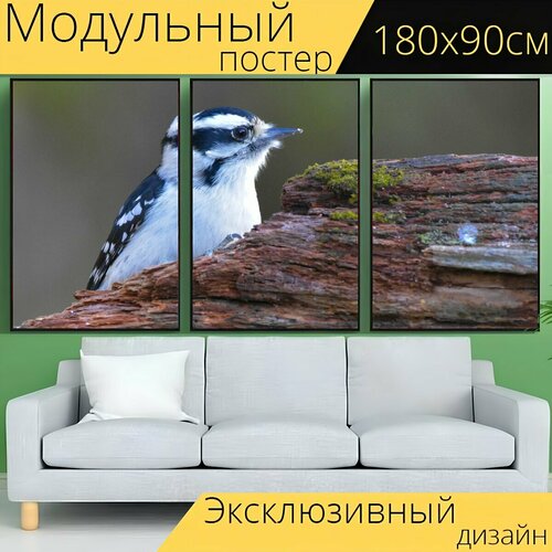 Модульный постер "Природа, птица, дятел" 180 x 90 см. для интерьера