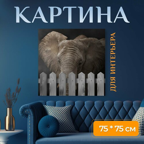Картина на холсте "Слон, животное, африканский слон" на подрамнике 75х75 см. для интерьера