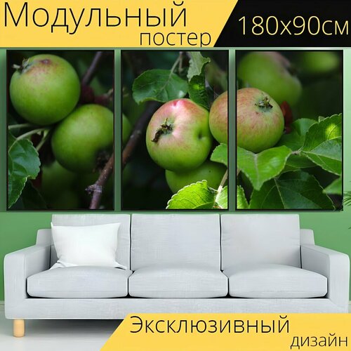 Модульный постер "Яблоки, зеленый, яблоня" 180 x 90 см. для интерьера