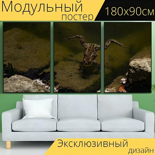 Модульный постер "Лягушка, животное, вода" 180 x 90 см. для интерьера