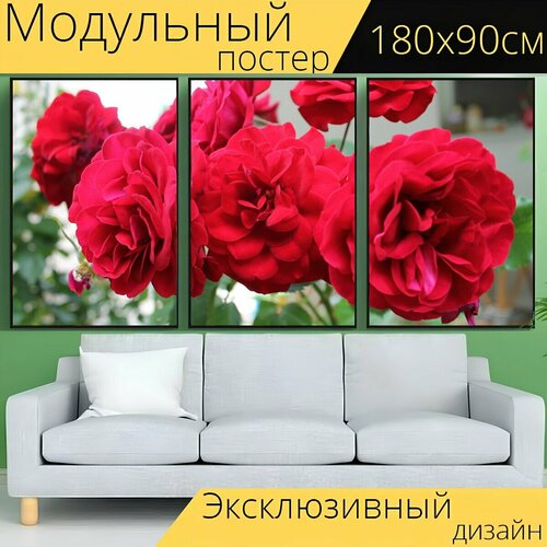 Модульный постер "Красные розы, розы, цветок" 180 x 90 см. для интерьера