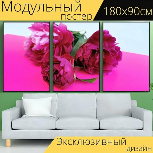 Модульный постер "Пионы, цветы, розовые цветы" 180 x 90 см. для интерьера