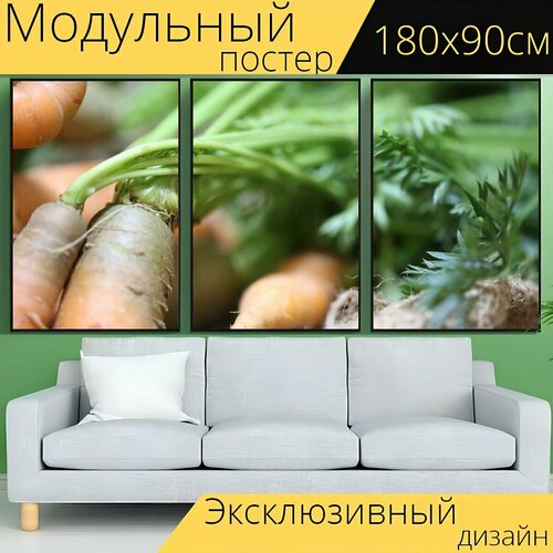Модульный постер "Корень, еда, овощ" 180 x 90 см. для интерьера