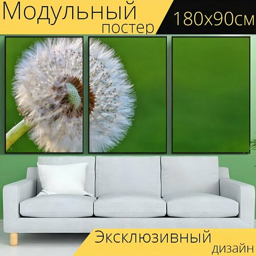 Модульный постер "Одуванчик, цветок, летом" 180 x 90 см. для интерьера