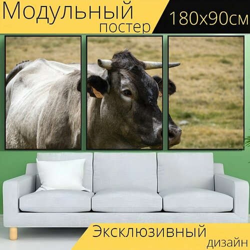 Модульный постер "Корова, жвачных животных, животное" 180 x 90 см. для интерьера