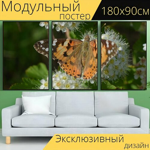 Модульный постер "Бабочка, цветение, лето" 180 x 90 см. для интерьера