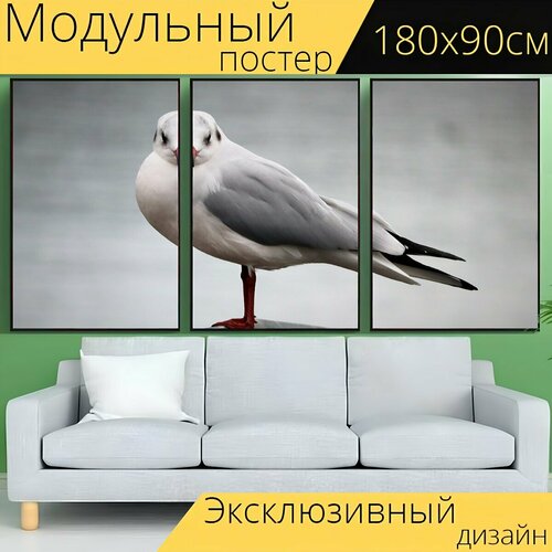 Модульный постер "Животное, птица, чайка" 180 x 90 см. для интерьера