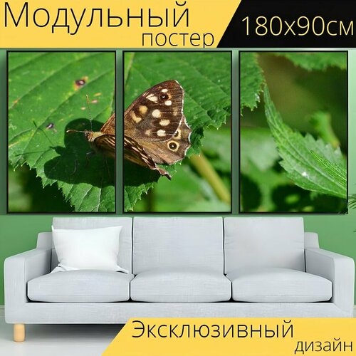 Модульный постер "Бабочка, лесная настольная игра, природа" 180 x 90 см. для интерьера
