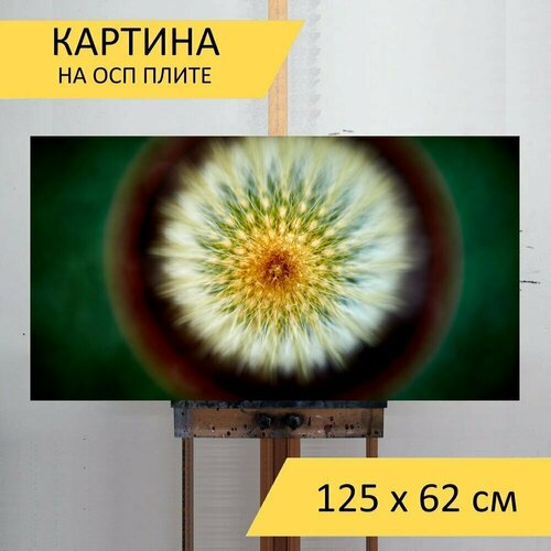 Картина на ОСП 125х62 см. "Кактус, зеленый, природа" горизонтальная, для интерьера, с креплениями