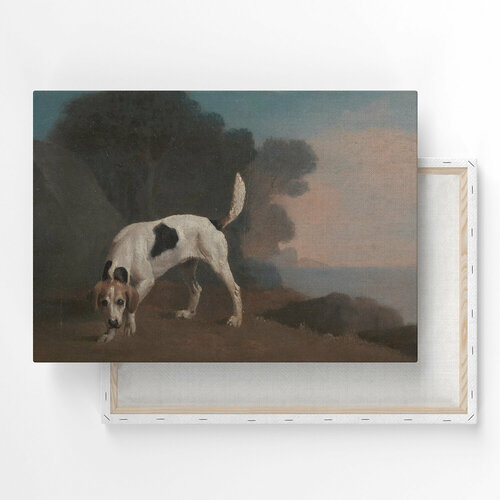 Картина на холсте, репродукция / Джордж Стаббс - Foxhound / Размер 30 x 40 см