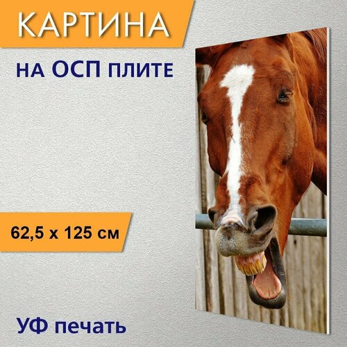 Вертикальная картина на ОСП "Лошадь, веселье, смех" 62x125 см. для интерьериа
