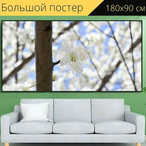 Большой постер "Весна, цветы, белый цветок" 180 x 90 см. для интерьера