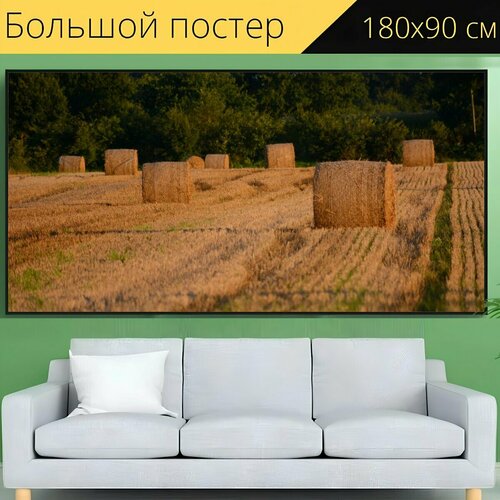 Большой постер "Пейзаж, зерно, пшеница" 180 x 90 см. для интерьера