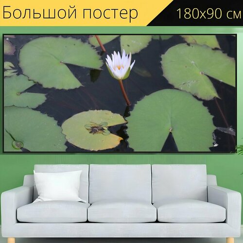 Большой постер "Вода, цветок, природа" 180 x 90 см. для интерьера