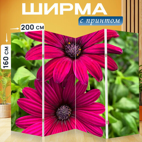 Ширма перегородка с принтом "Цветок, лепестки, цветочные" на холсте - 200x160 см. для зонирования, раскладная
