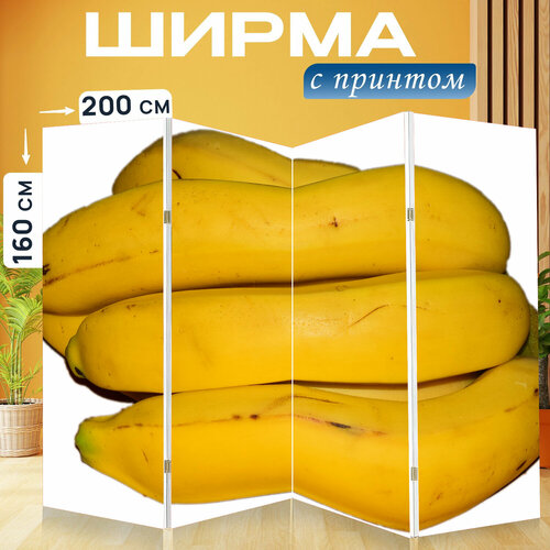 Ширма перегородка с принтом "Банан, желтый, еда" на холсте - 200x160 см. для зонирования, раскладная
