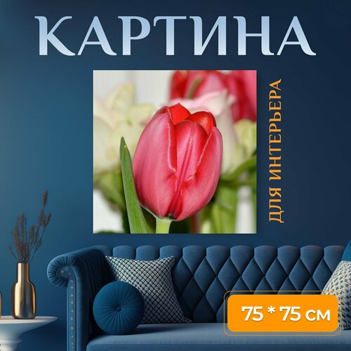 Картина на холсте "Цветок, природа, тюльпан" на подрамнике 75х75 см. для интерьера