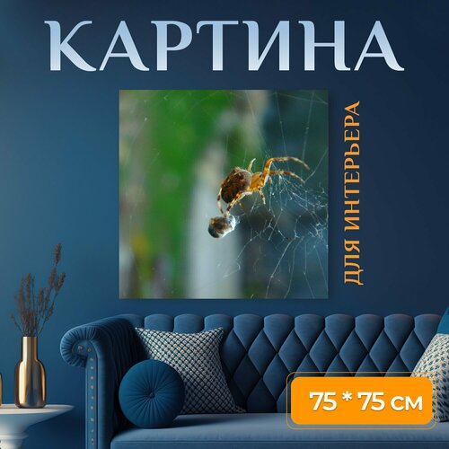 Картина на холсте "Паук, насекомое, сеть" на подрамнике 75х75 см. для интерьера