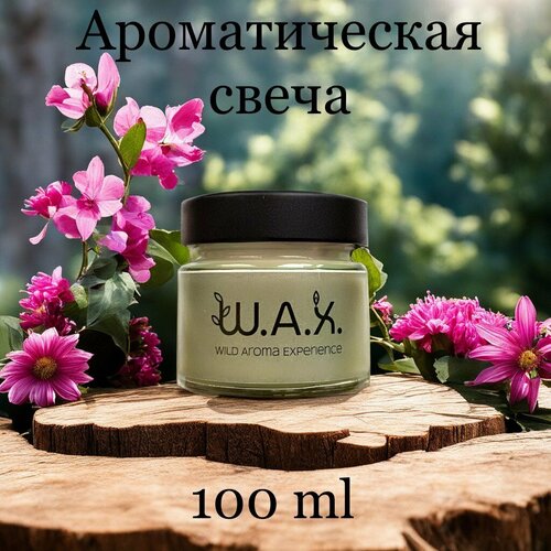Свеча ароматическая 100 мл"Шоколадный ганаш" / Wild aroma experience свеча в стеклянной банке