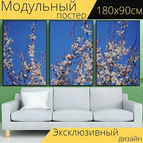 Модульный постер "Весна, расцветает, дерево" 180 x 90 см. для интерьера