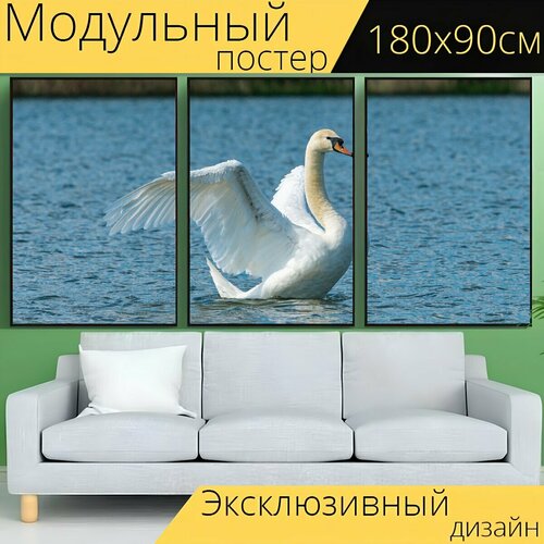 Модульный постер "Лебедь, крылья, вода" 180 x 90 см. для интерьера
