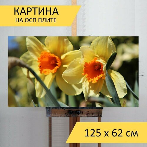 Картина на ОСП 125х62 см. "Нарцисс, цветы, растения" горизонтальная, для интерьера, с креплениями
