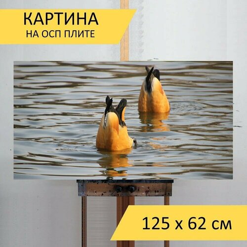 Картина на ОСП 125х62 см. "Румяные утки, озеро, нырять" горизонтальная, для интерьера, с креплениями