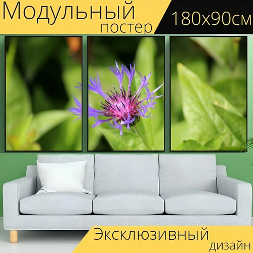 Модульный постер "Васильковый, полевые цветы, синий" 180 x 90 см. для интерьера