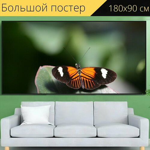 Большой постер "Насекомое, бабочка, природа" 180 x 90 см. для интерьера