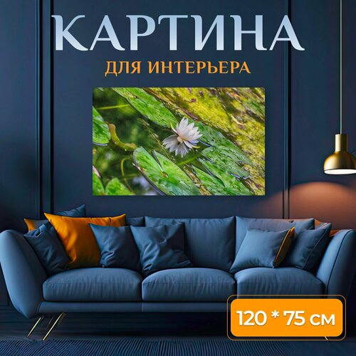 Картина на холсте "Кувшинка, отражение, цветок" на подрамнике 120х75 см. для интерьера