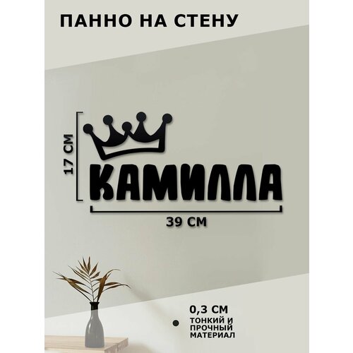 Панно на стену, картина декоративная, наклейка интерьерная " имя Камилла "