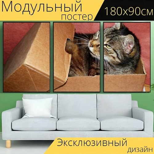 Модульный постер "Кот, тигр, домашнее животное" 180 x 90 см. для интерьера