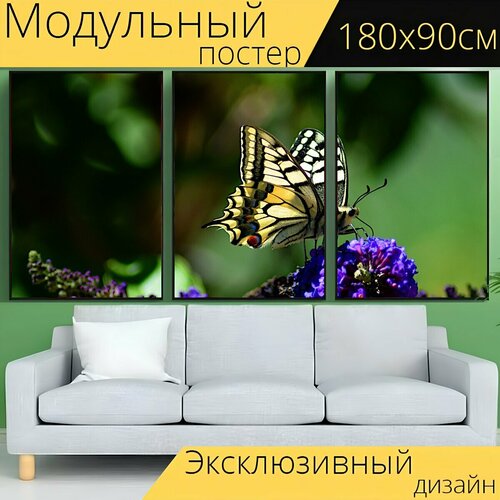 Модульный постер "Ласточкин хвост, бабочка, сирень" 180 x 90 см. для интерьера