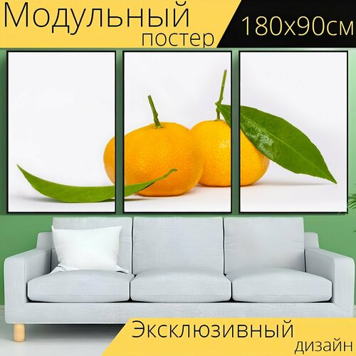 Модульный постер "Антиоксидант, цитрусовый фрукт, овощ" 180 x 90 см. для интерьера