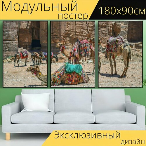Модульный постер "Верблюды, ослы, транспорт" 180 x 90 см. для интерьера