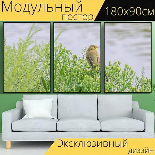 Модульный постер "Птица, жёлтый, природа" 180 x 90 см. для интерьера