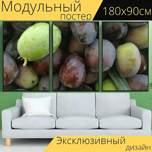 Модульный постер "Оливки, свежий, овощи" 180 x 90 см. для интерьера