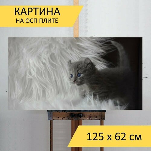 Картина на ОСП 125х62 см. "Кошка, кошачий, шерсть" горизонтальная, для интерьера, с креплениями