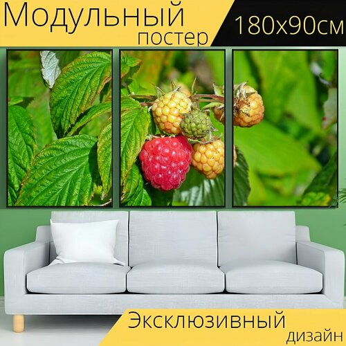 Модульный постер "Фрукты, малина, витамины" 180 x 90 см. для интерьера