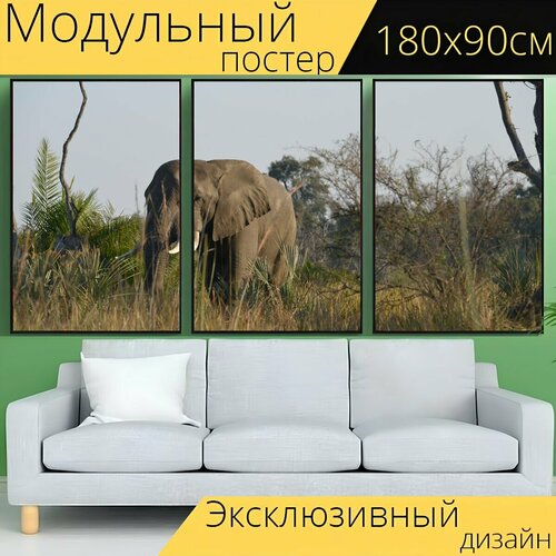 Модульный постер "Слон, африка, ботсвана" 180 x 90 см. для интерьера